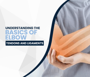 Understanding the Basics of Elbow Tendons and LigamentsJERSEY JSR